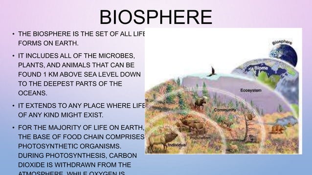 Earth and Life Science W1-2 powerpoint presentation | PPTX