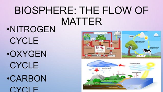 Earth and Life Science W1-2 powerpoint presentation | PPTX