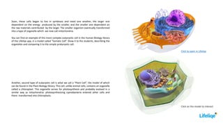 Evolving Concept of Life Based on Emerging Pieces of Evidence.pptx