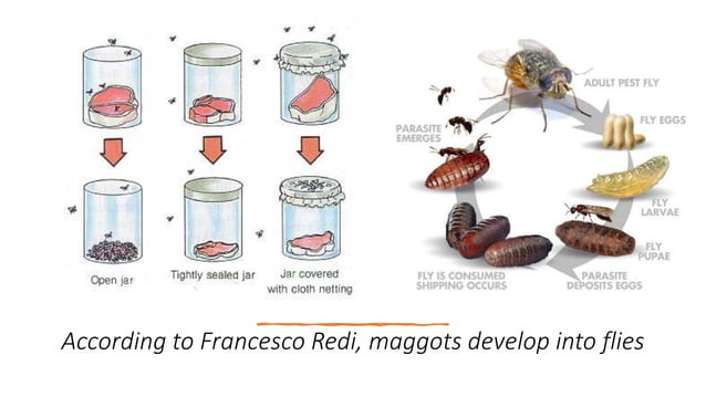 Evolving Concept of Life Based on Emerging Pieces of Evidence.pptx