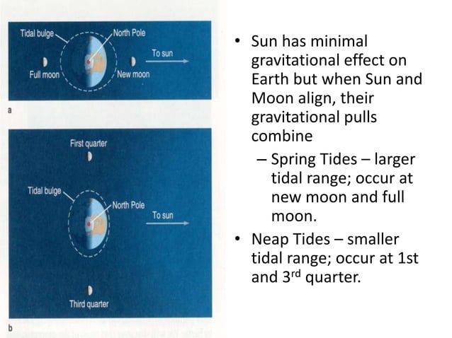 Earth, sun and moon Interactions | PPTX
