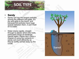 Earth (climatology) | PPTX