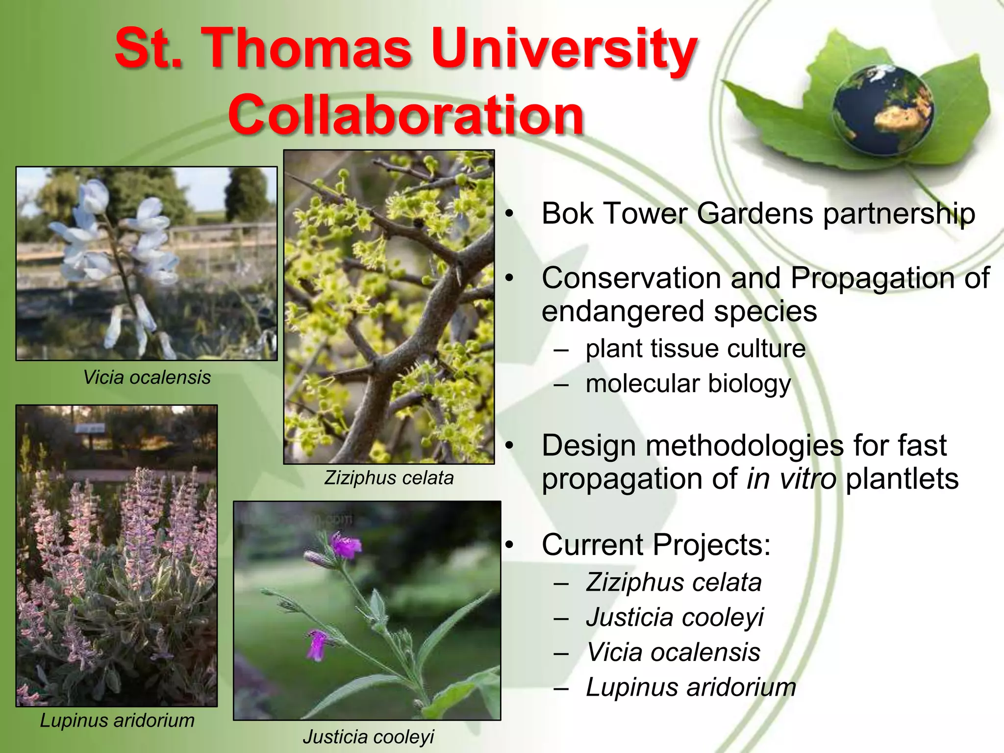 Conservation of Florida's Endangered Plants by Carlos E. Vasquez | PPTX
