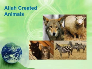 Earth day ppt | PPTX