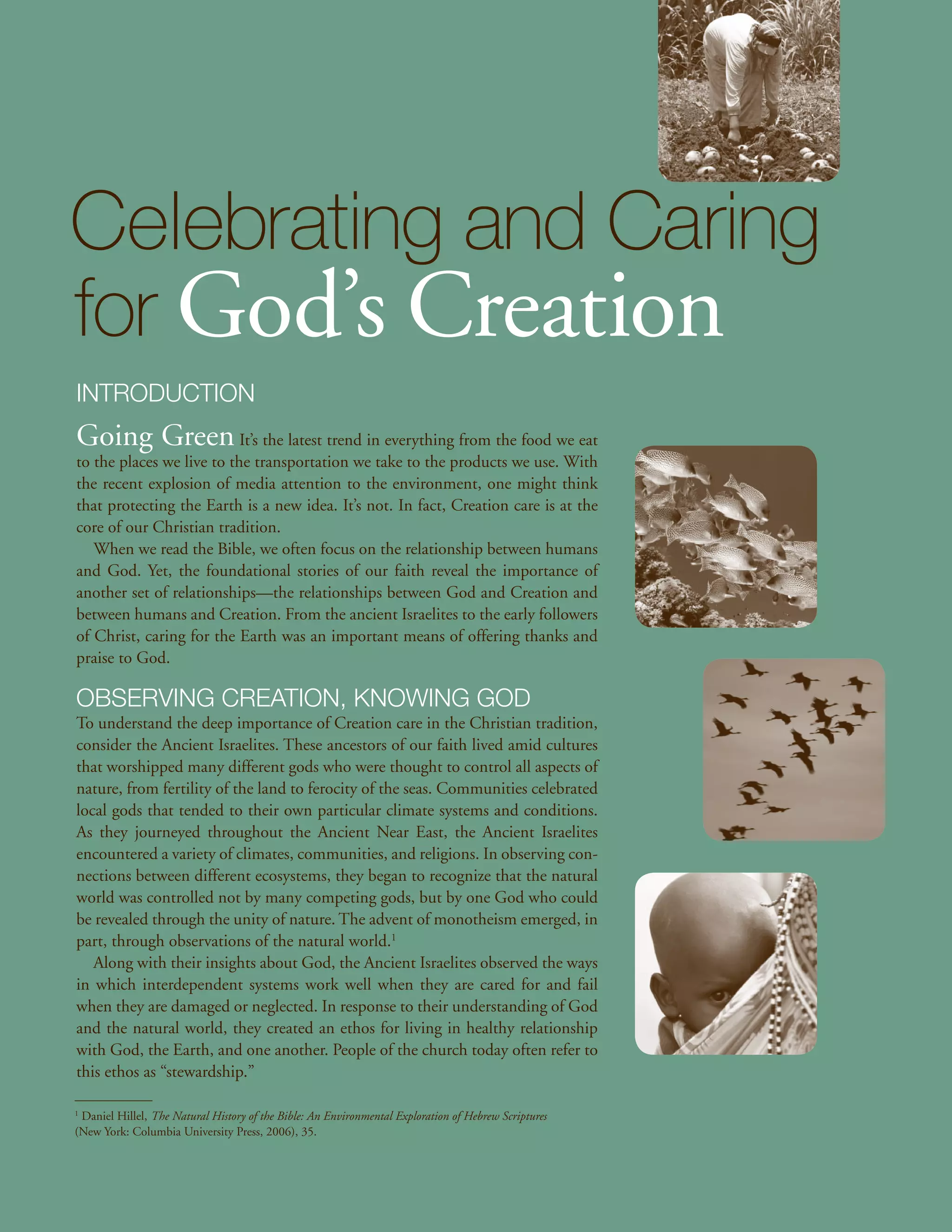 Celebrating and Caring for God's Creation | PDF