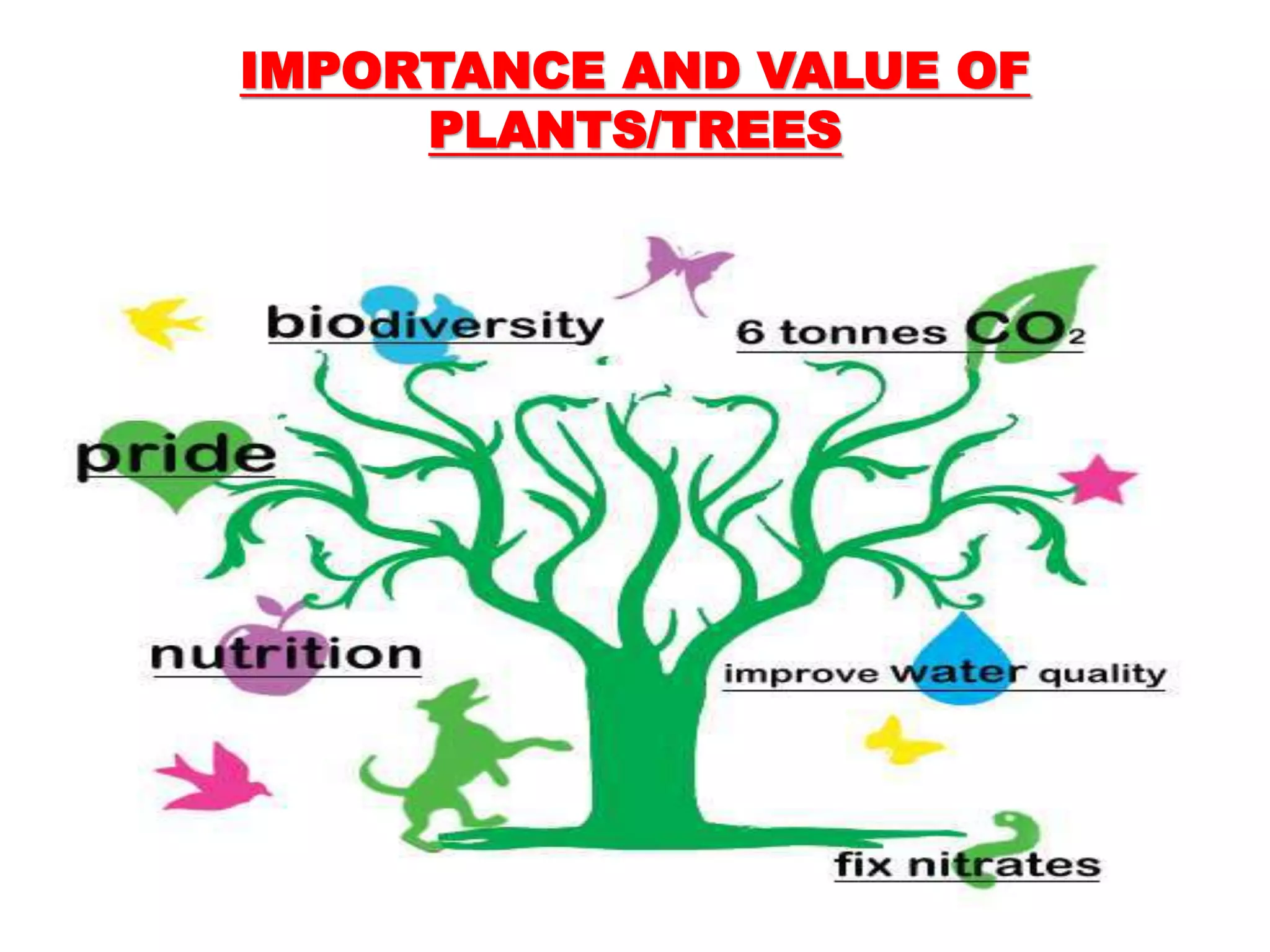 EARTH DAY role of plants for sustianable earth ppt.pptx