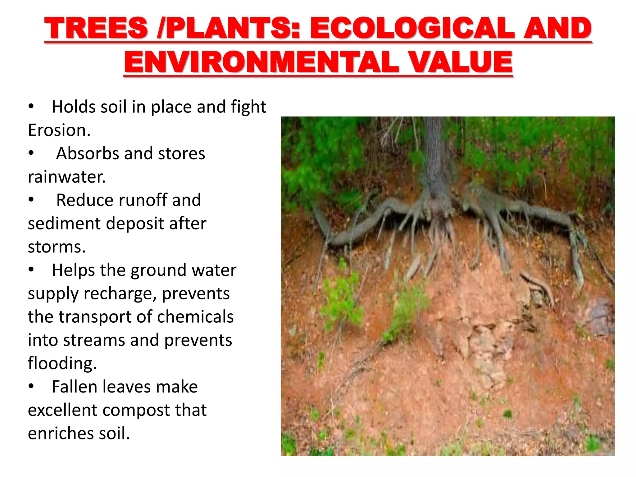 EARTH DAY role of plants for sustianable earth ppt.pptx