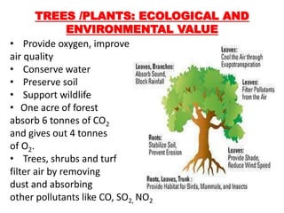 EARTH DAY role of plants for sustianable earth ppt.pptx | Agriculture ...