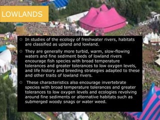 Earthforms | PPTX | Landscaping | Home & Garden