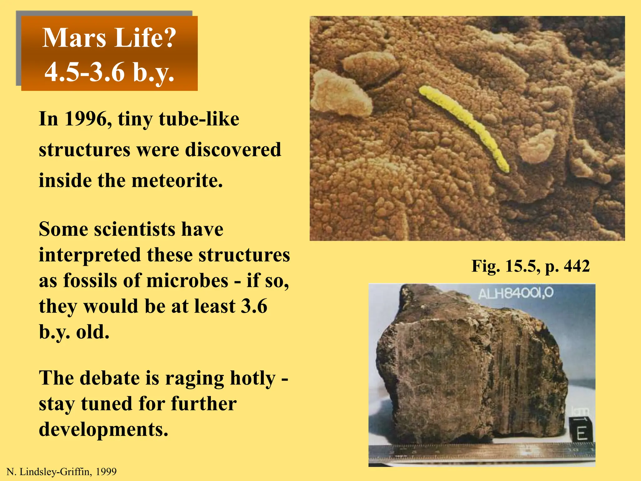 A Brief History of Life on Earth Geology Today | PPT