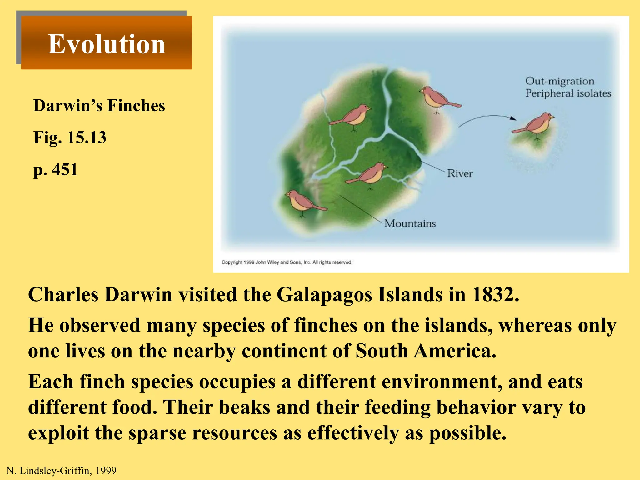 A Brief History of Life on Earth Geology Today | PPT