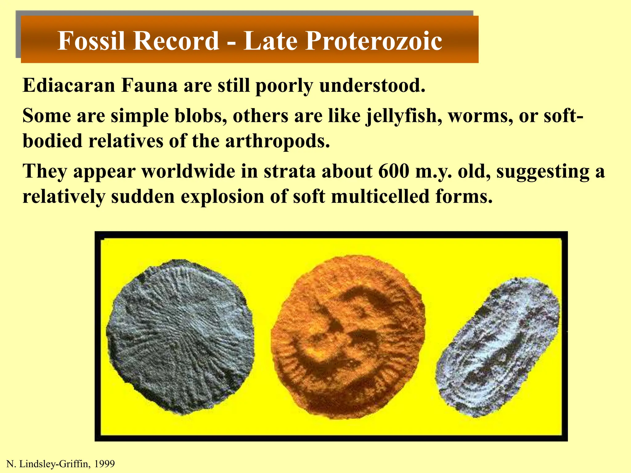 A Brief History of Life on Earth Geology Today | PPT
