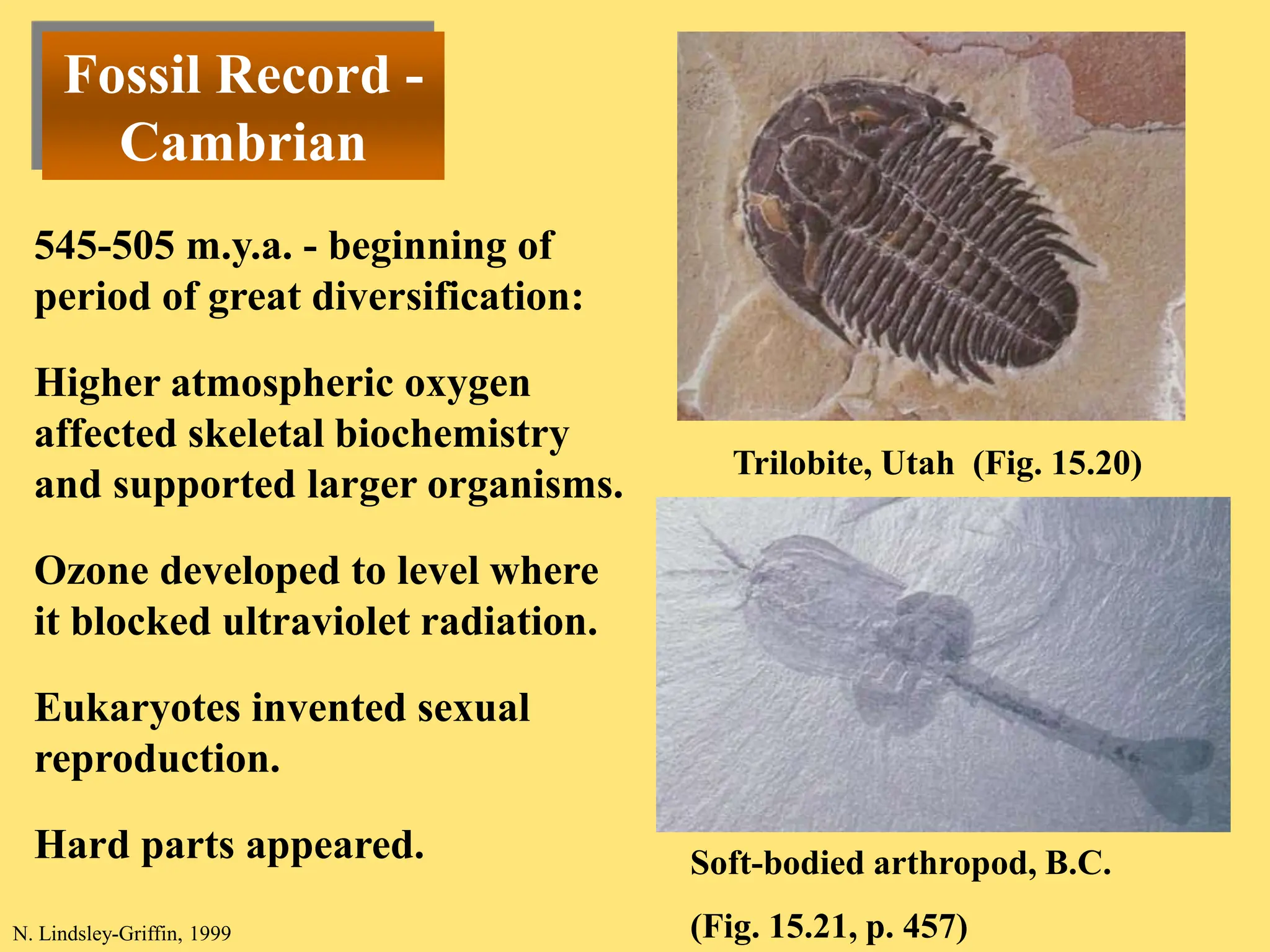 A Brief History of Life on Earth Geology Today | PPT
