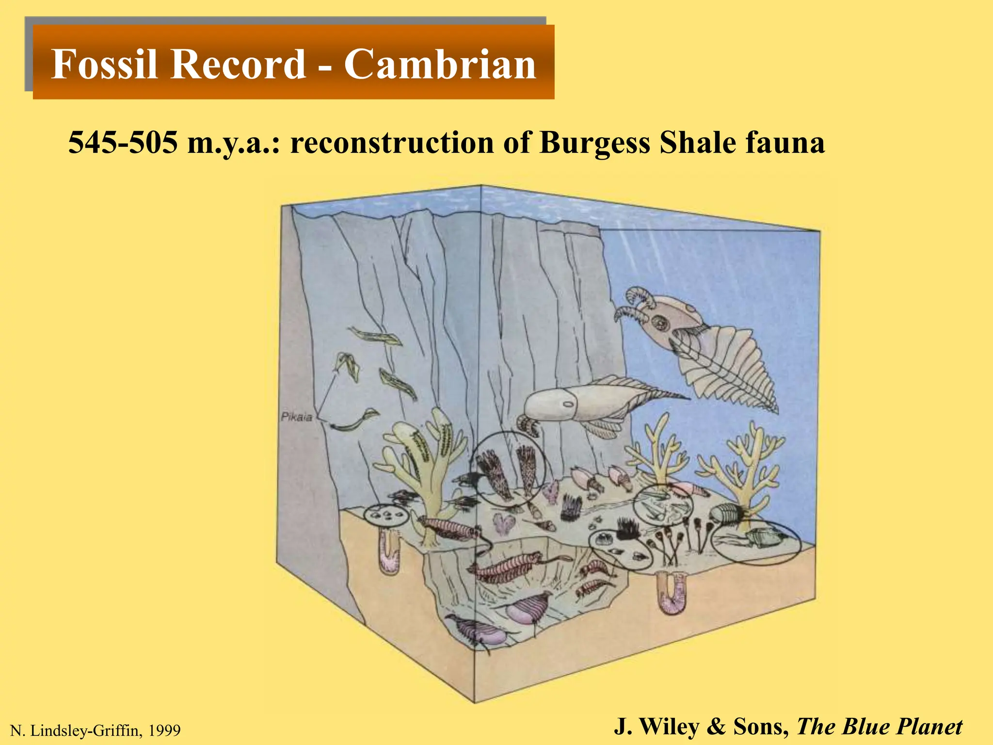 A Brief History of Life on Earth Geology Today | PPT