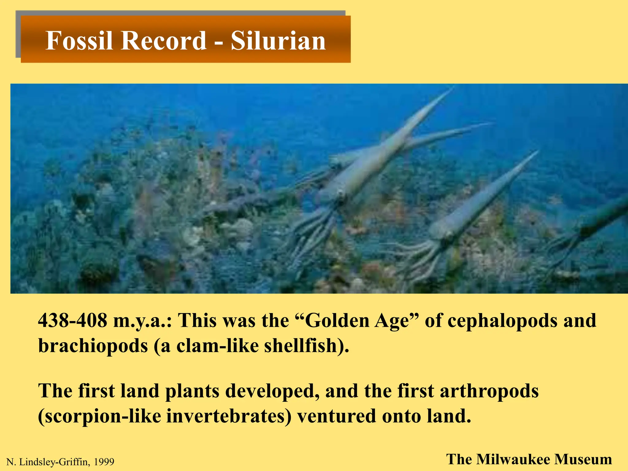 A Brief History of Life on Earth Geology Today | PPT