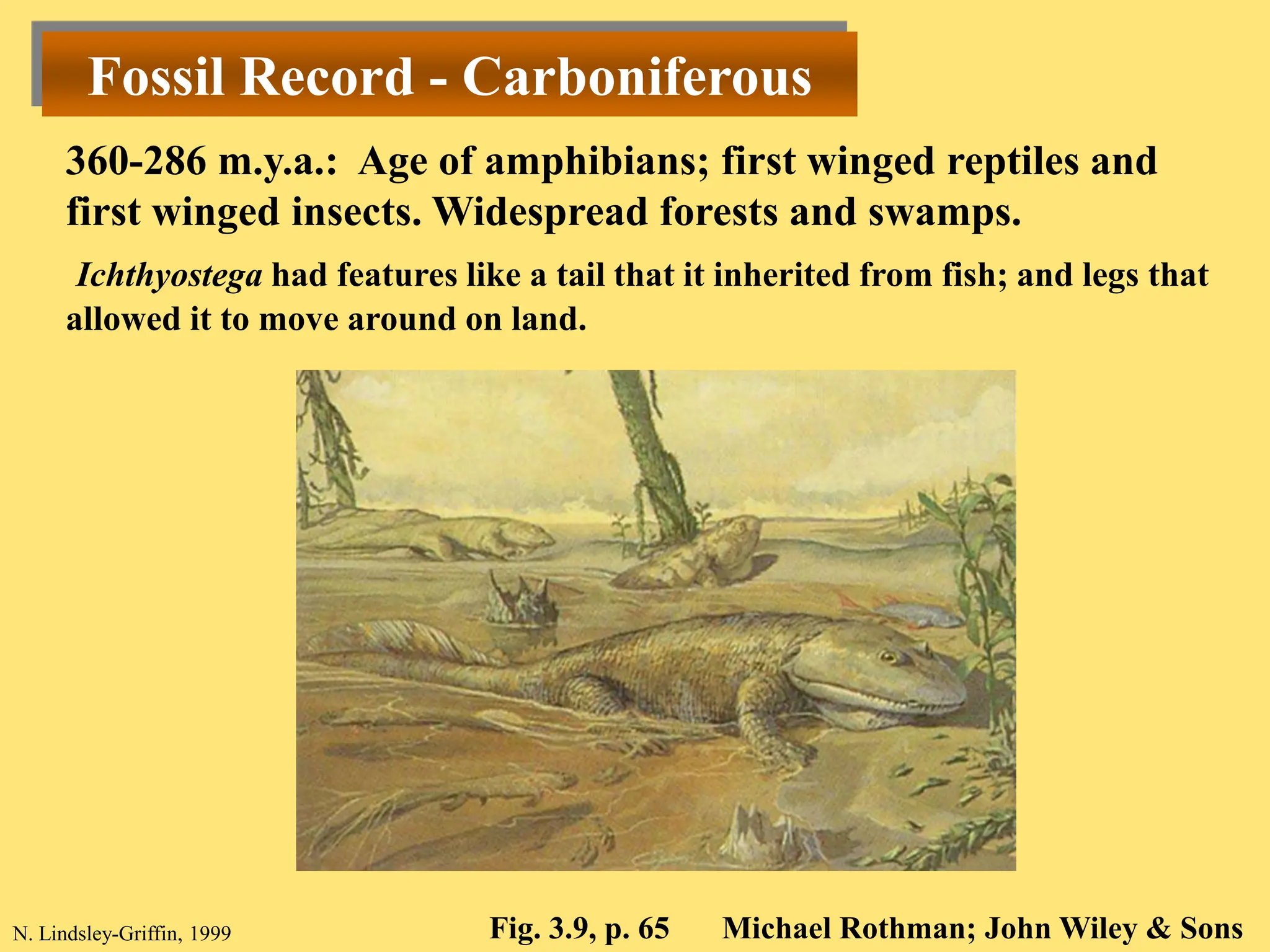 A Brief History of Life on Earth Geology Today | PPT