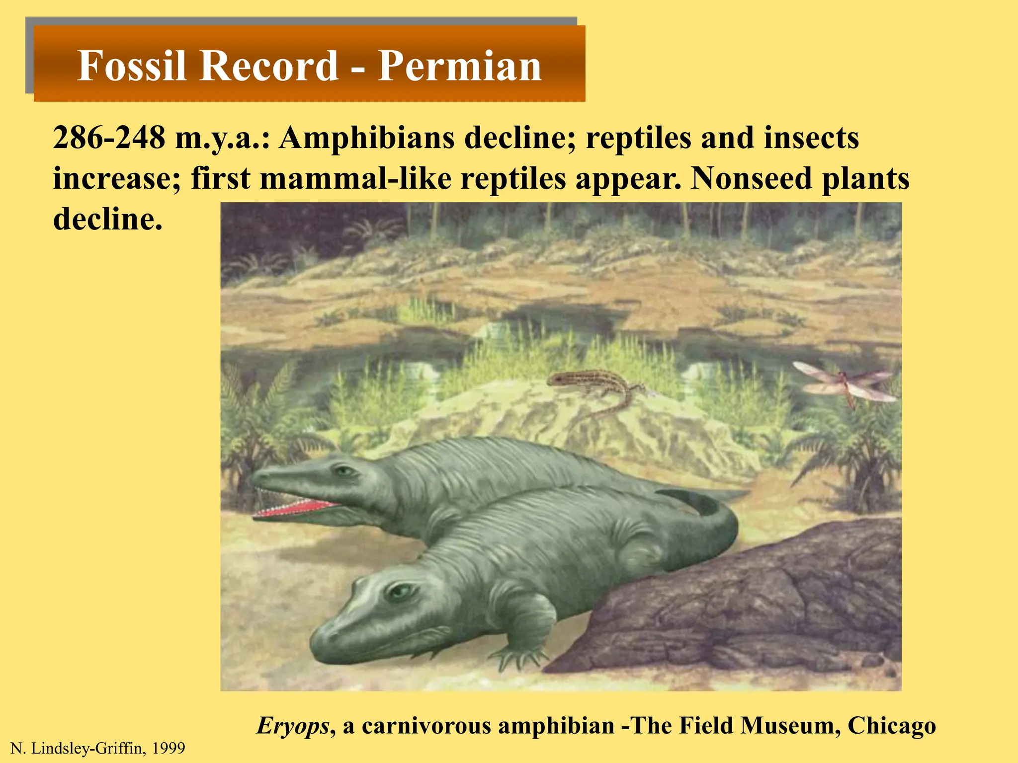 A Brief History of Life on Earth Geology Today | PPT