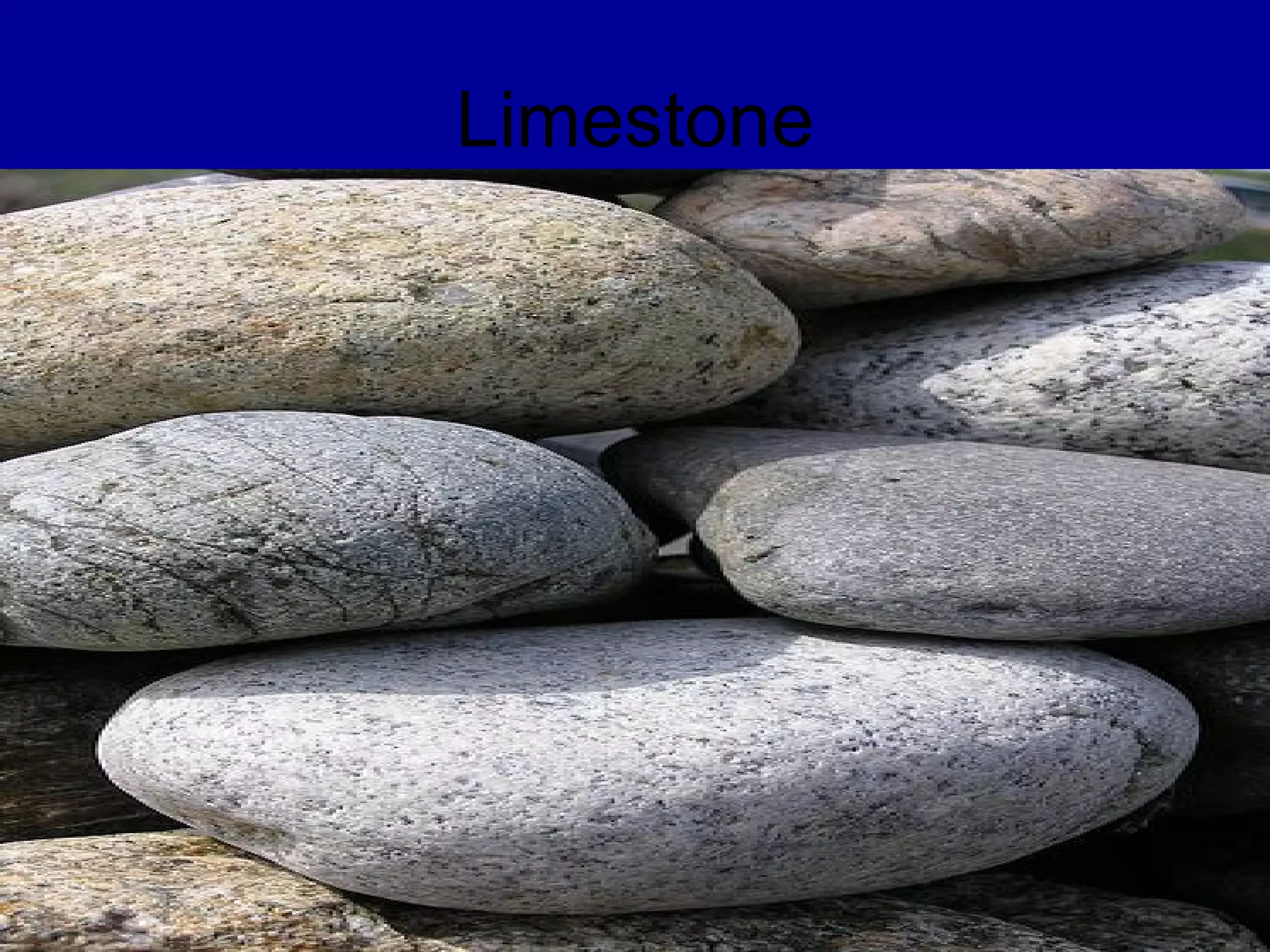 Earth Idol Aj, Trey, Ayshia | PPT