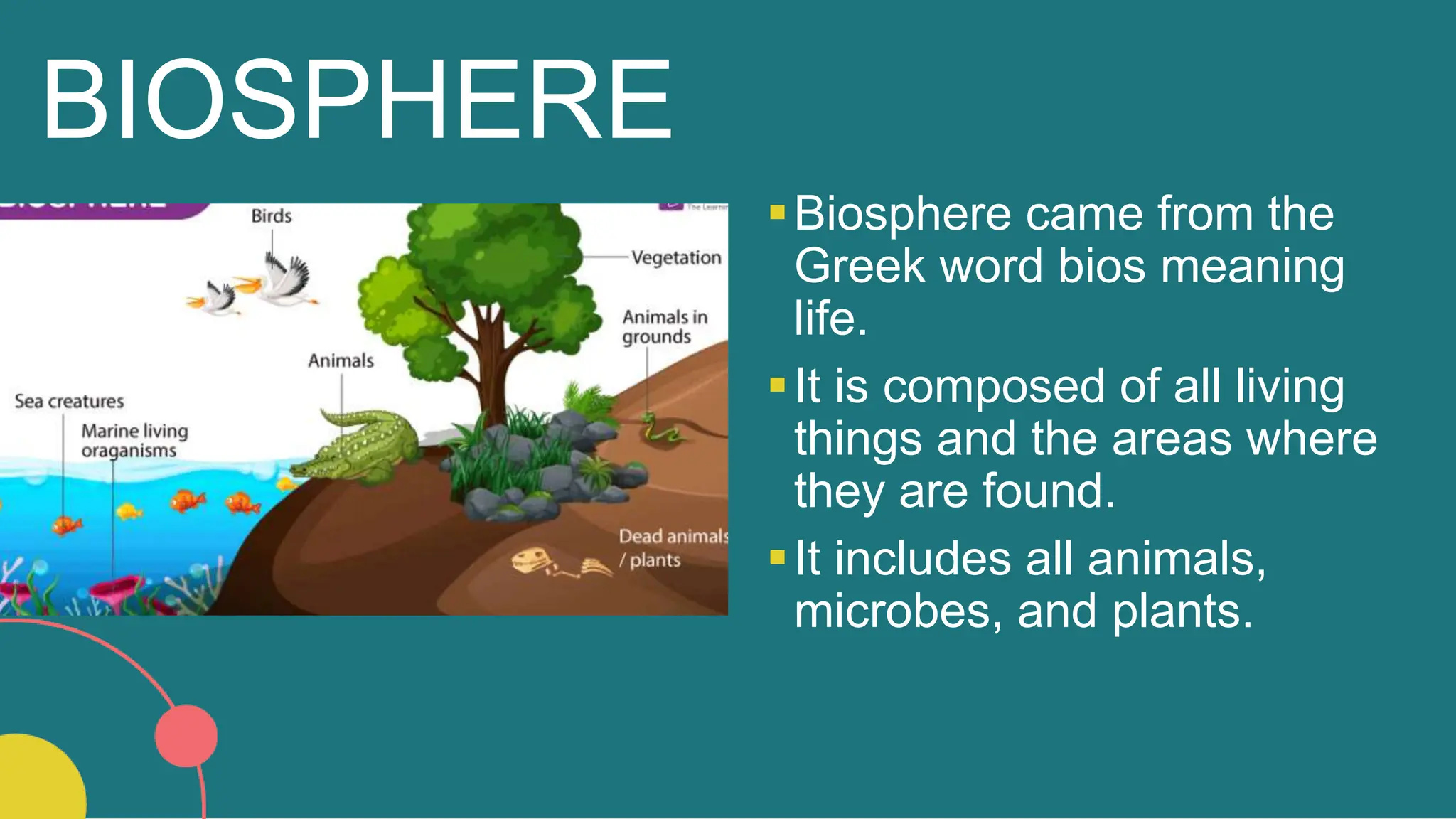 The Earth’s Four Subsystems: atmosphere, geosphere, hydrosphere, and ...
