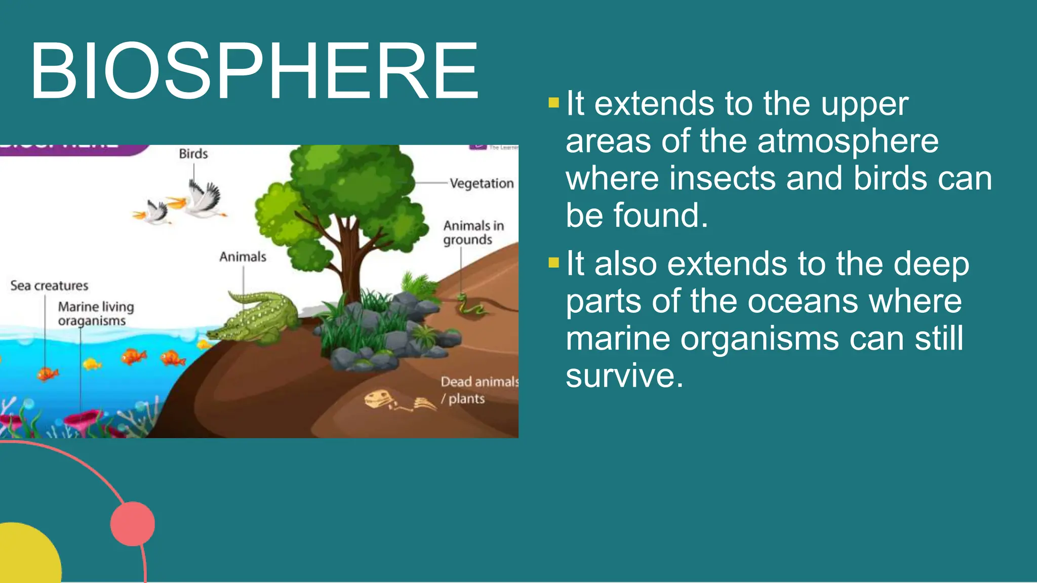 The Earth’s Four Subsystems: atmosphere, geosphere, hydrosphere, and ...