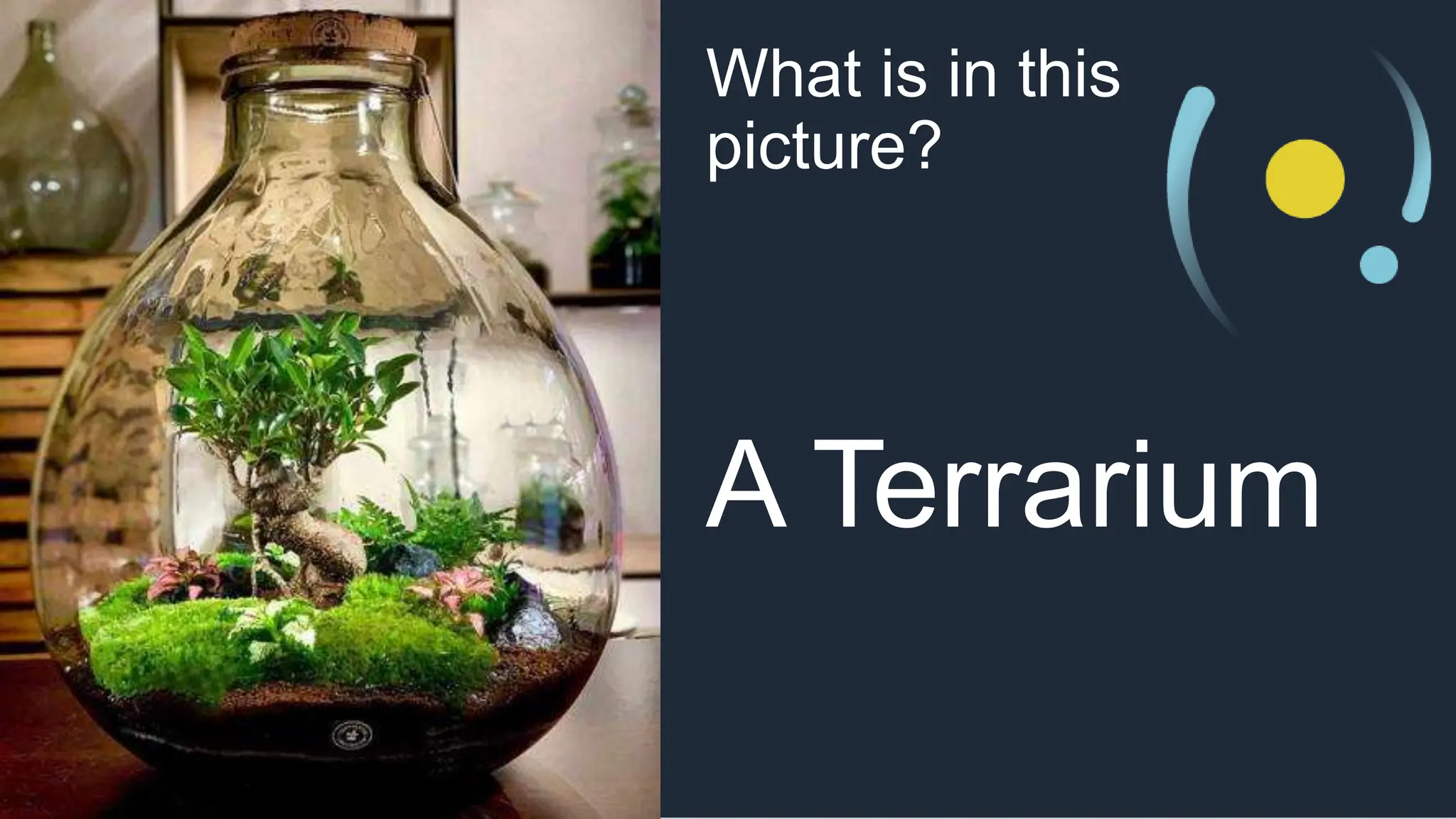 The Earth’s Four Subsystems: atmosphere, geosphere, hydrosphere, and ...