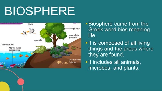 The Earth’s Four Subsystems: atmosphere, geosphere, hydrosphere, and ...