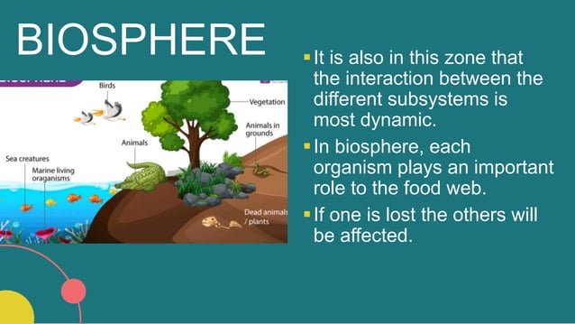 The Earth’s Four Subsystems: atmosphere, geosphere, hydrosphere, and ...