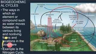 The Earth’s Four Subsystems: atmosphere, geosphere, hydrosphere, and ...