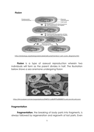 EARTHLIFE-SCIENCE-Q2-WEEK-3-edited.pdf