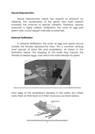 EARTHLIFE-SCIENCE-Q2-WEEK-3-edited.pdf