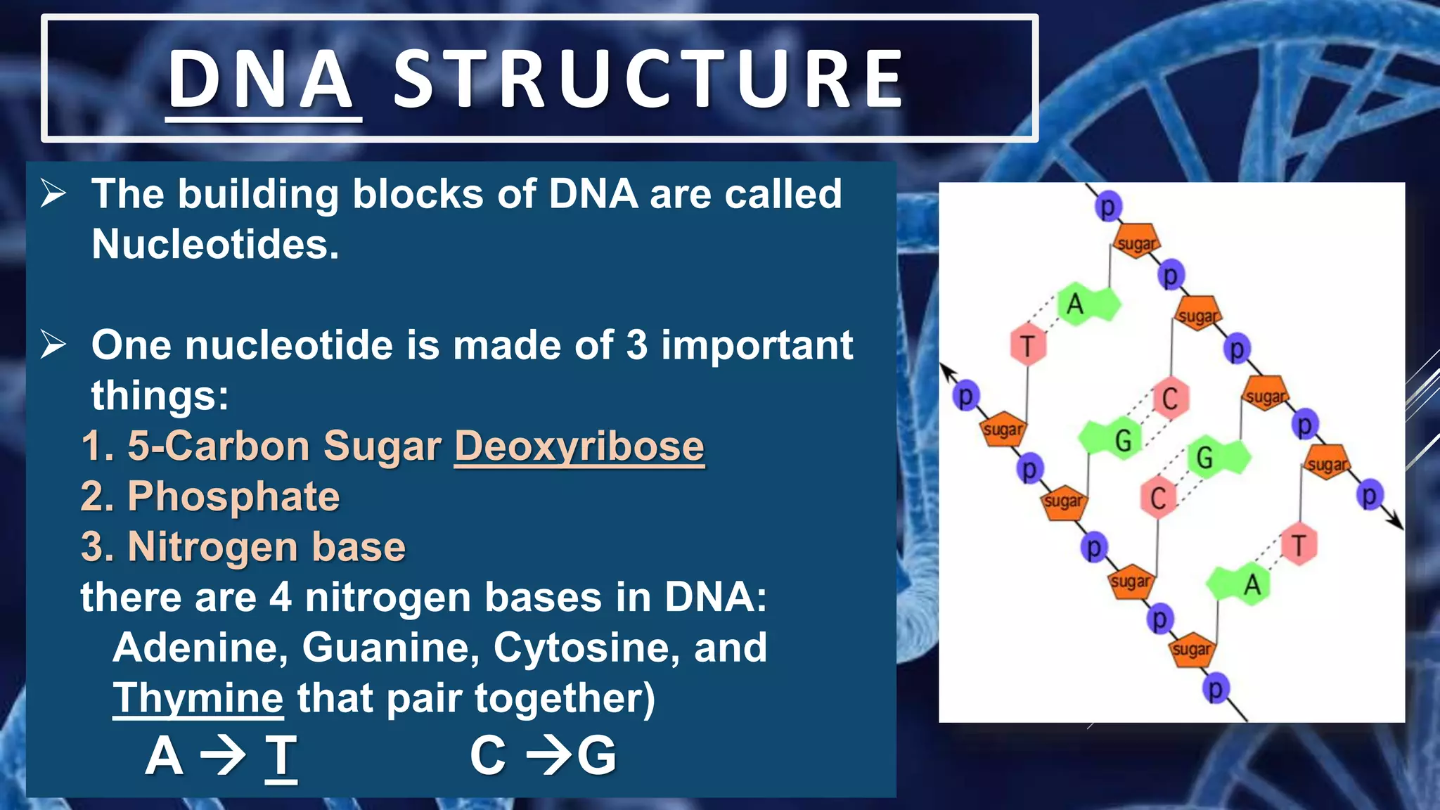 EARTH AND LIFE SCIENCE Unifying Themes Of Life | PPTX
