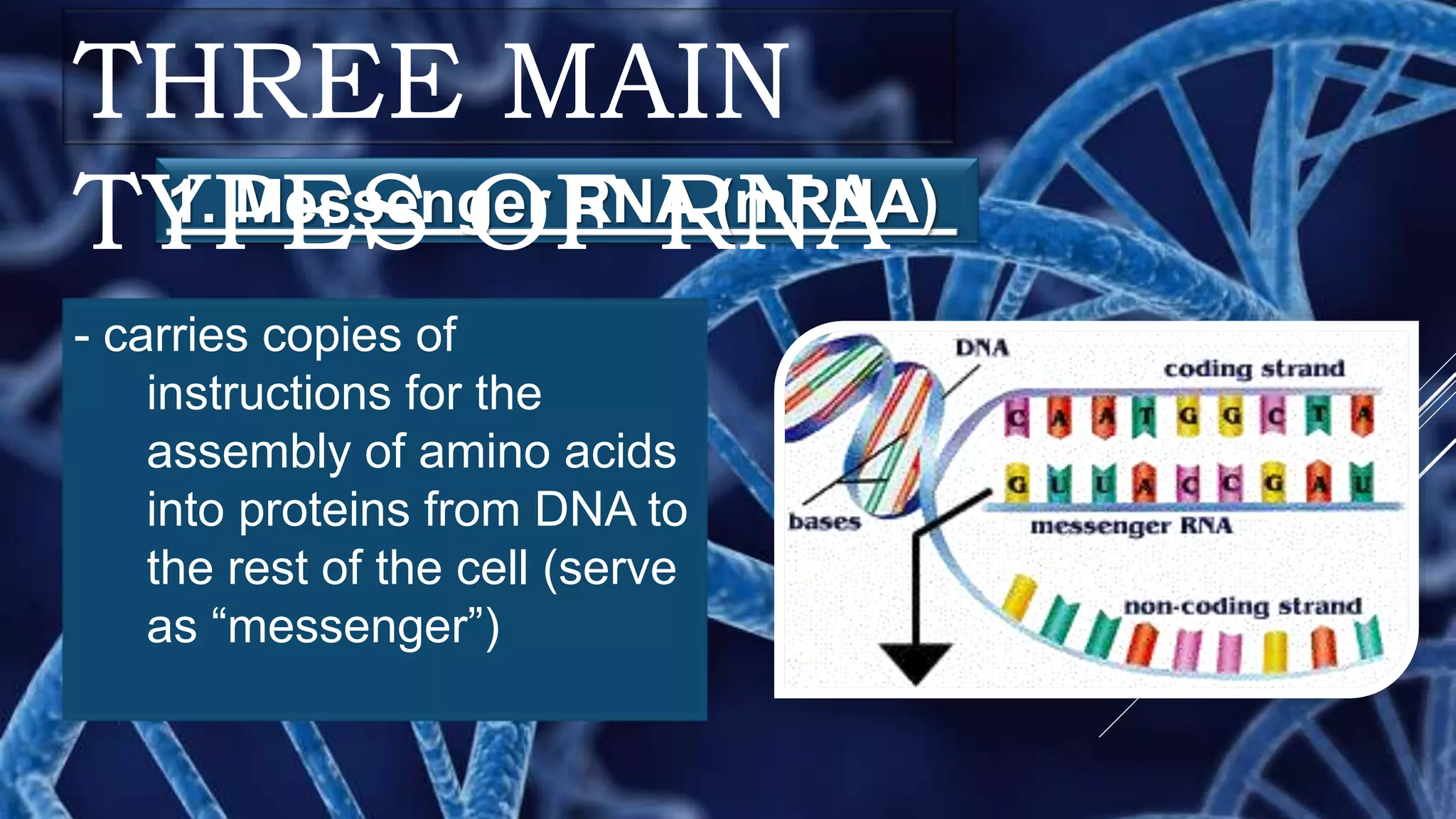 EARTH AND LIFE SCIENCE Unifying Themes Of Life | PPTX