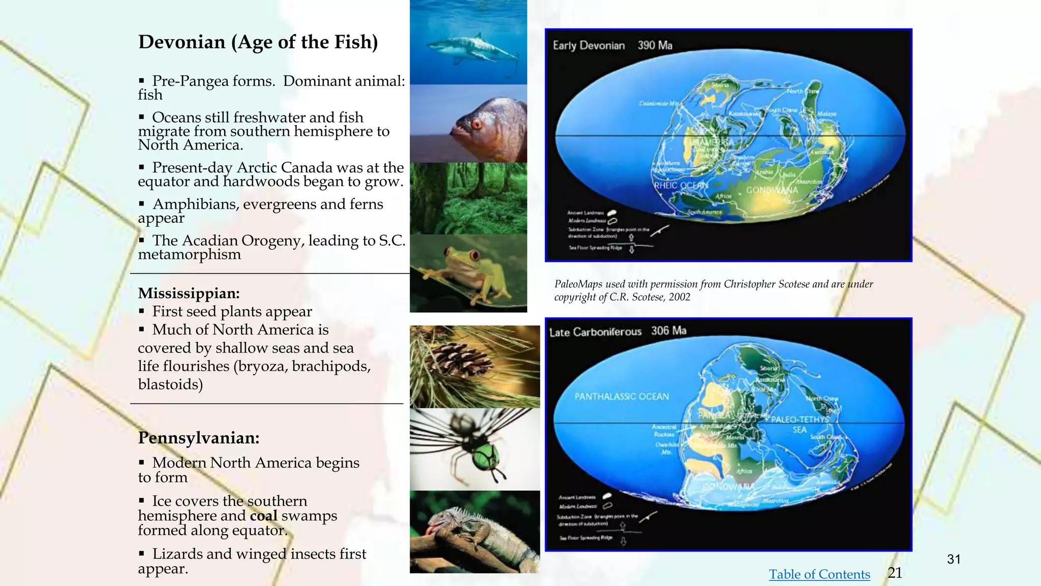 Earth Life Science W7.pptx
