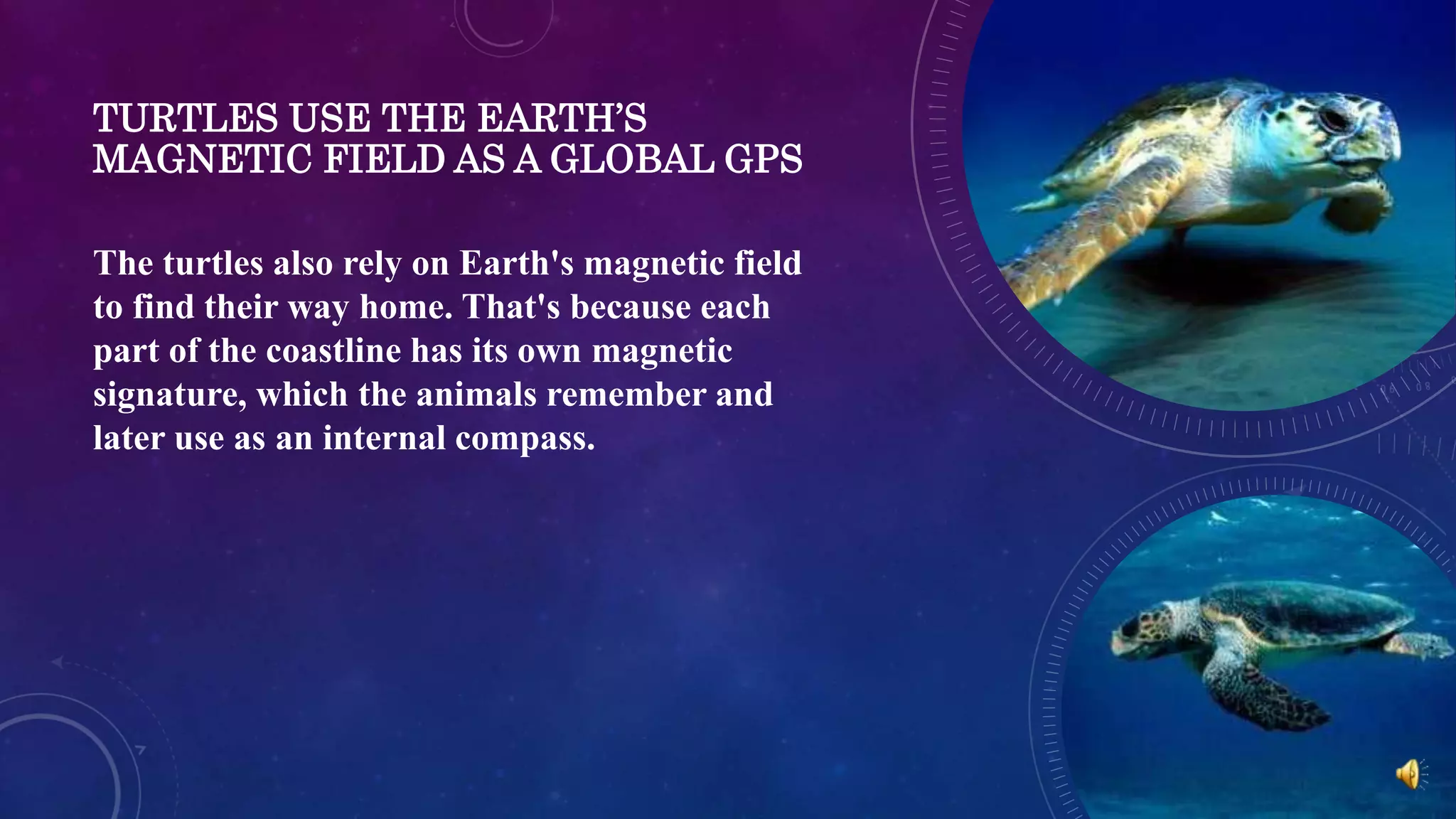 Earth magnetic field | PPTX