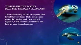 Earth magnetic field | PPT