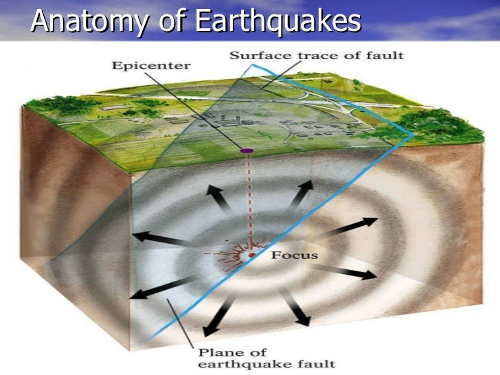 The Anatomy Of An Earthquake