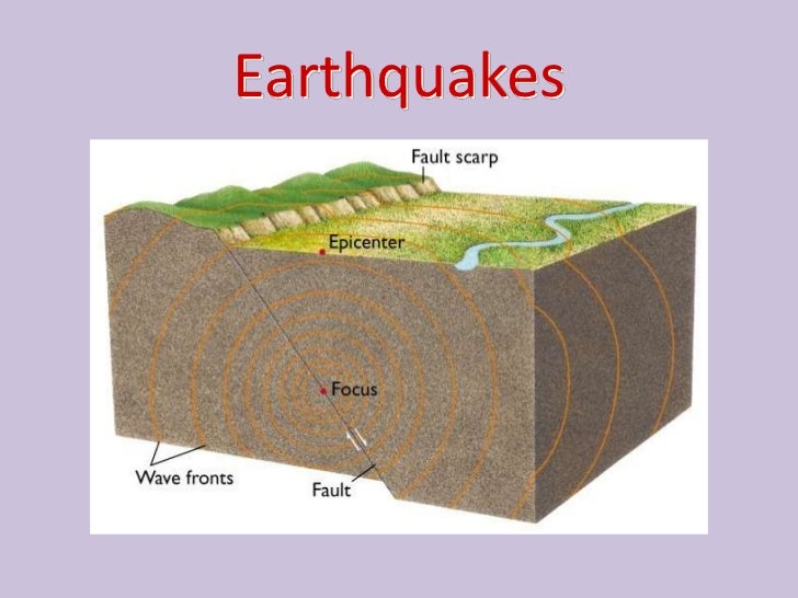 Anatomy Of Earthquake Anatomy Of Earthquake
