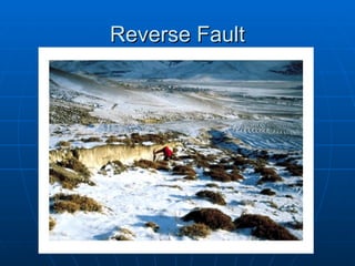 Earthquakes-and-Faults-Lectur science 7 grade 7 e.ppt