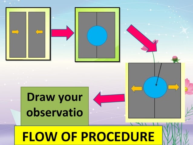 Earthquakes and faults (Grade 8 Lesson) | PPT | Geology | Science