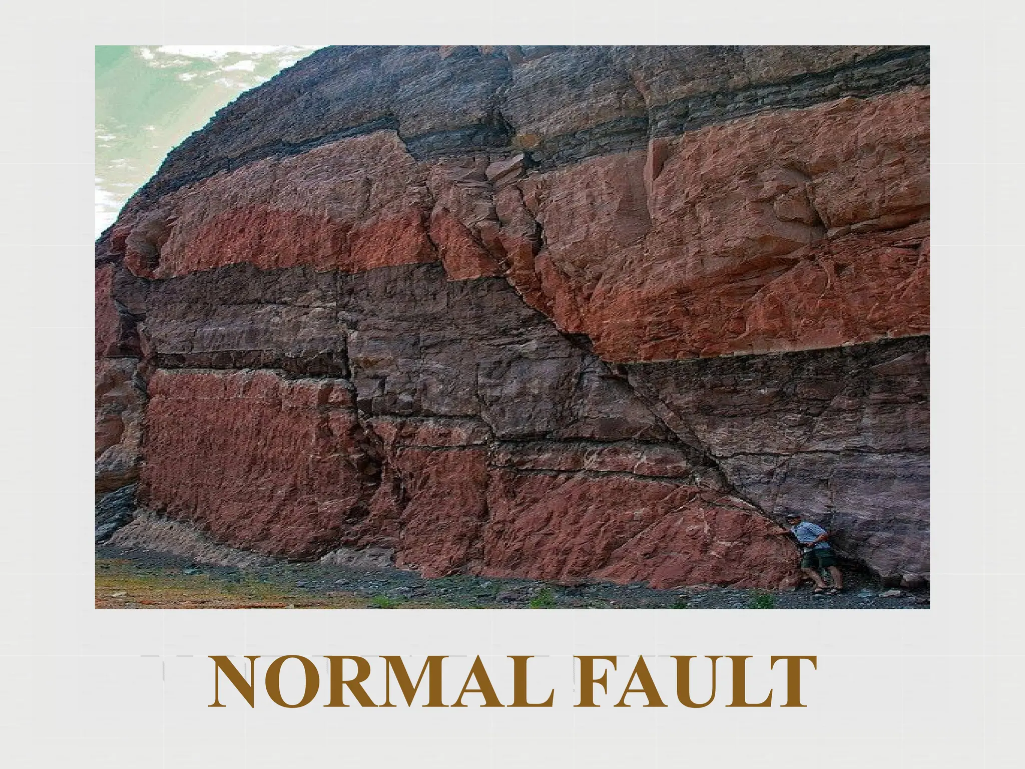 earthquakes and faults.mnhgfdssxcvbnpptx | PPT