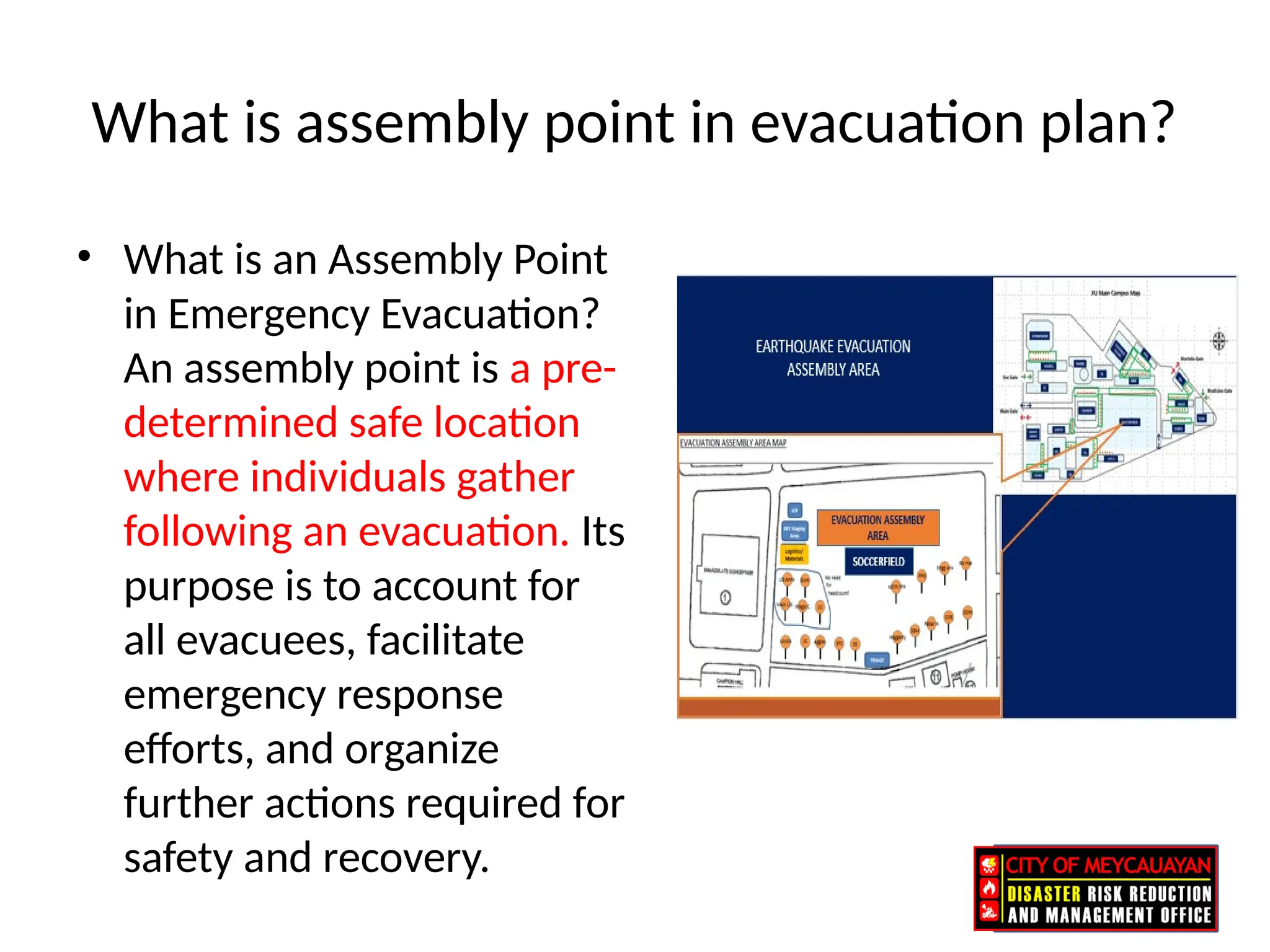 Disaster and Preparedness in Earthquake Calamity | PPTX