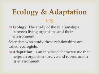 Earth Science reviewer | PPTX