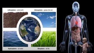 Earths-Subsystems.pdf, 5 main factors that make the planet habitable | PDF