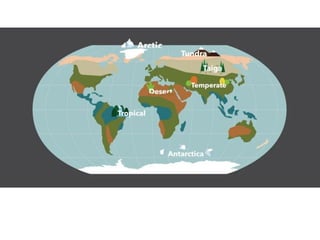 Earth’s Aquatic Biomes with diagrams and images | PDF