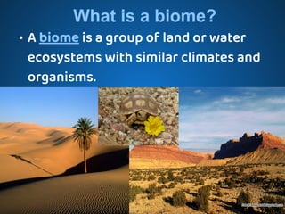 Earth’s Aquatic Biomes with diagrams and images | PDF