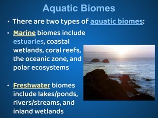 Earth’s Aquatic Biomes with diagrams and images | PDF