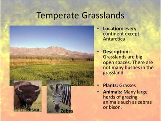 Earth's biome | PPTX