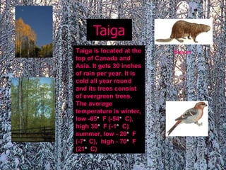 Earth’s biomes | PPT