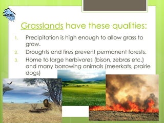 Earth's Biomes | PPT