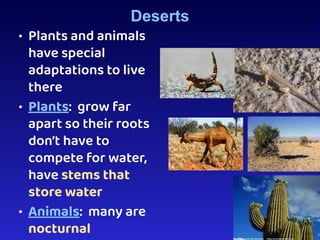 Earth’s Biomes Notes with diagrams and images | PDF